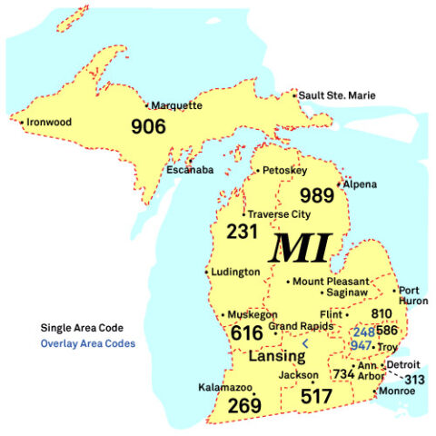 Area Code Michigan - Number Guy - Buy Vanity Phone Number